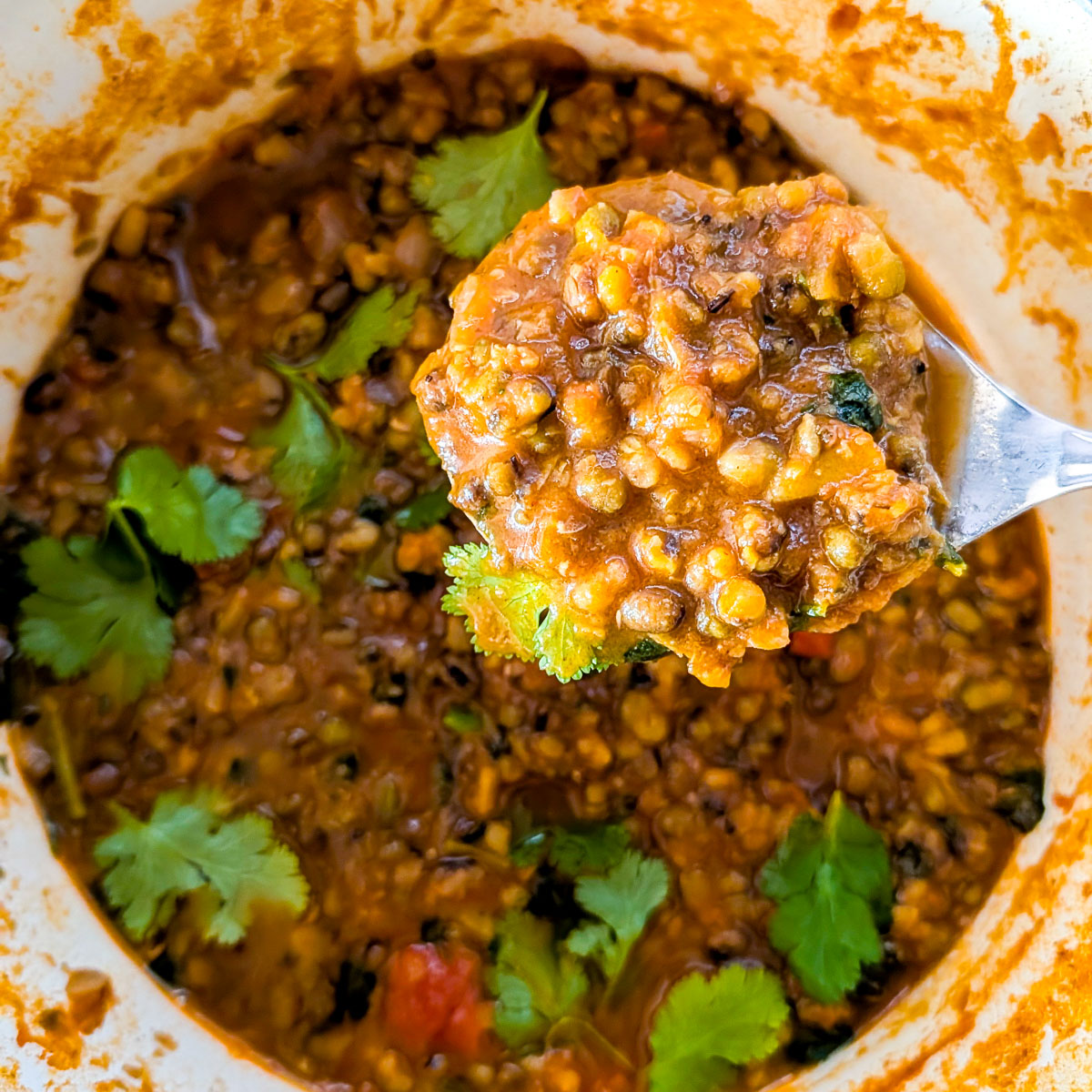 Green Moong Dal Mung Beans Recipe - Thermo Spoons